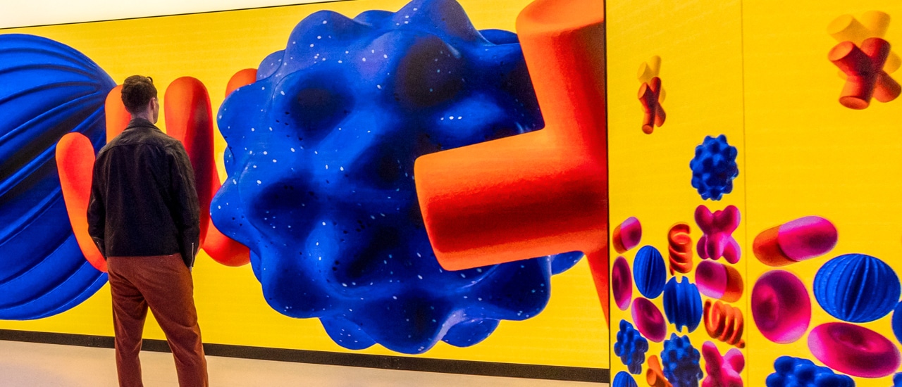 Temporary Displays – Outform